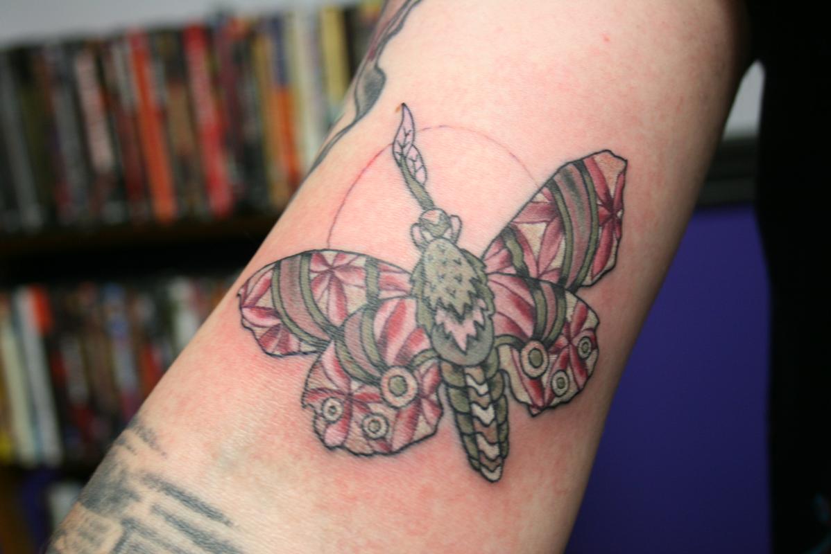Hawk Moth by Cat Johnson: TattooNOW