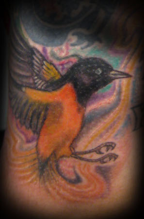 Orange Oriole Bird Tattoo by Markuss Decker: TattooNOW
