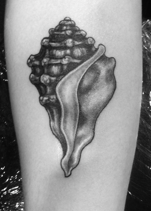 Conch Shell Tattoo Designs