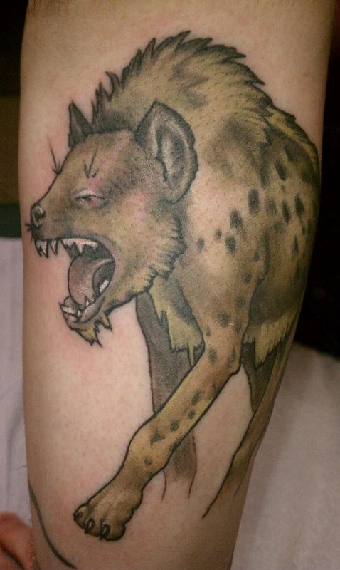 Laughing Hyena Tattoo by Amy Bambi Wendt: TattooNOW