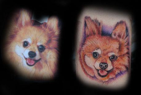 Pomeranian Portrait by Mike Pace: TattooNOW