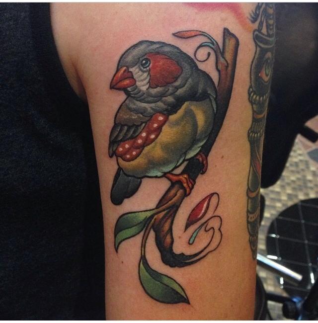 Zebra Finch by Timothy B Boor: TattooNOW