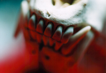 Enigma by Sean O'Hara: TattooNOW