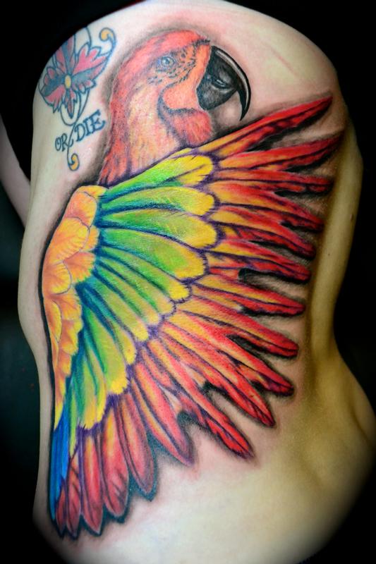 Painted Parrot by Ryan El Dugi Lewis: TattooNOW