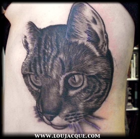 Cat Portrait by Lou Jacque: TattooNOW